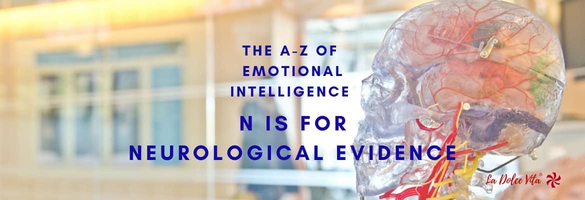 Neurological evidence of Emotional Intelligence | Emotional ...